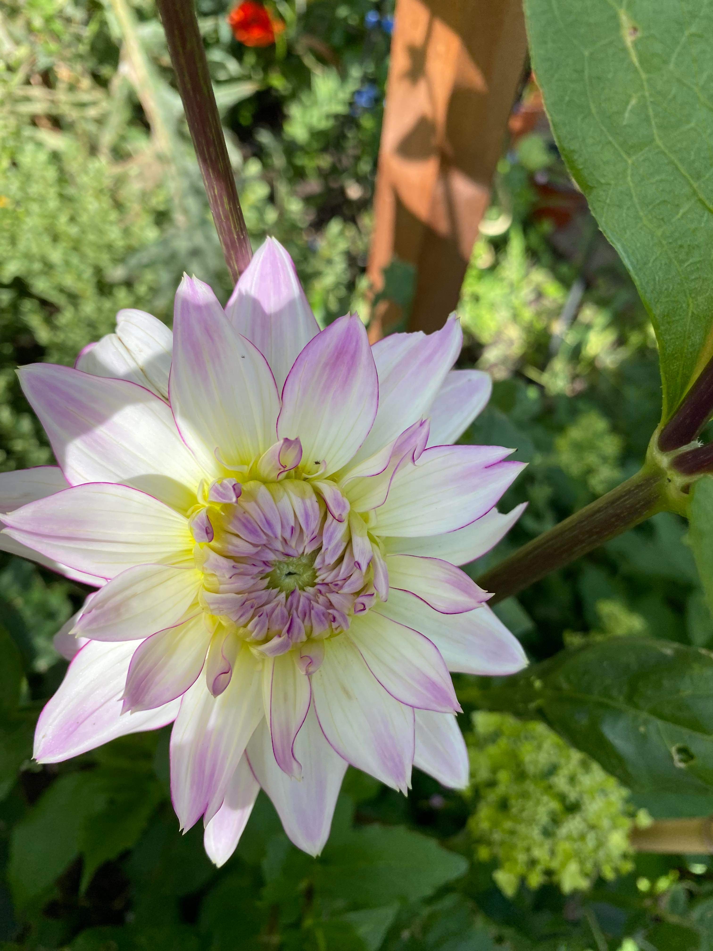 Open Ended Question Time In The Garden – Tracie's Treasures